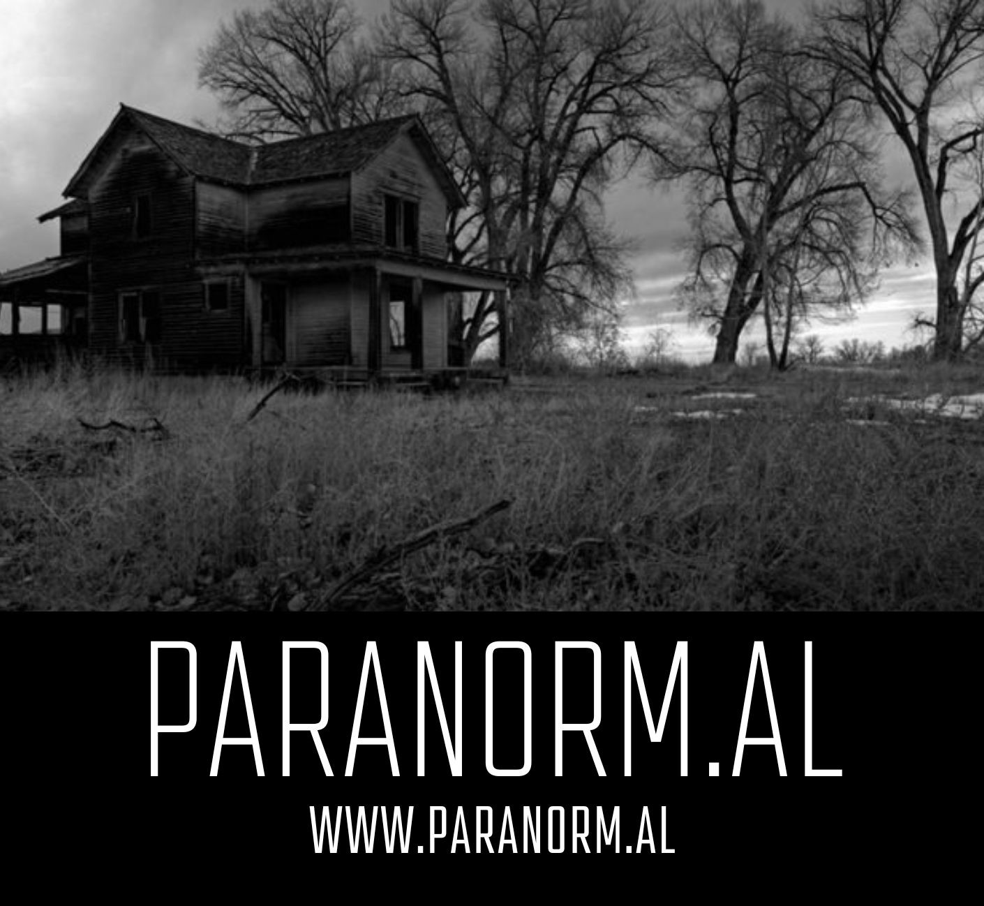 Paranorm.al – Paranormal Domain Name Hack For Sale | iDavey.com